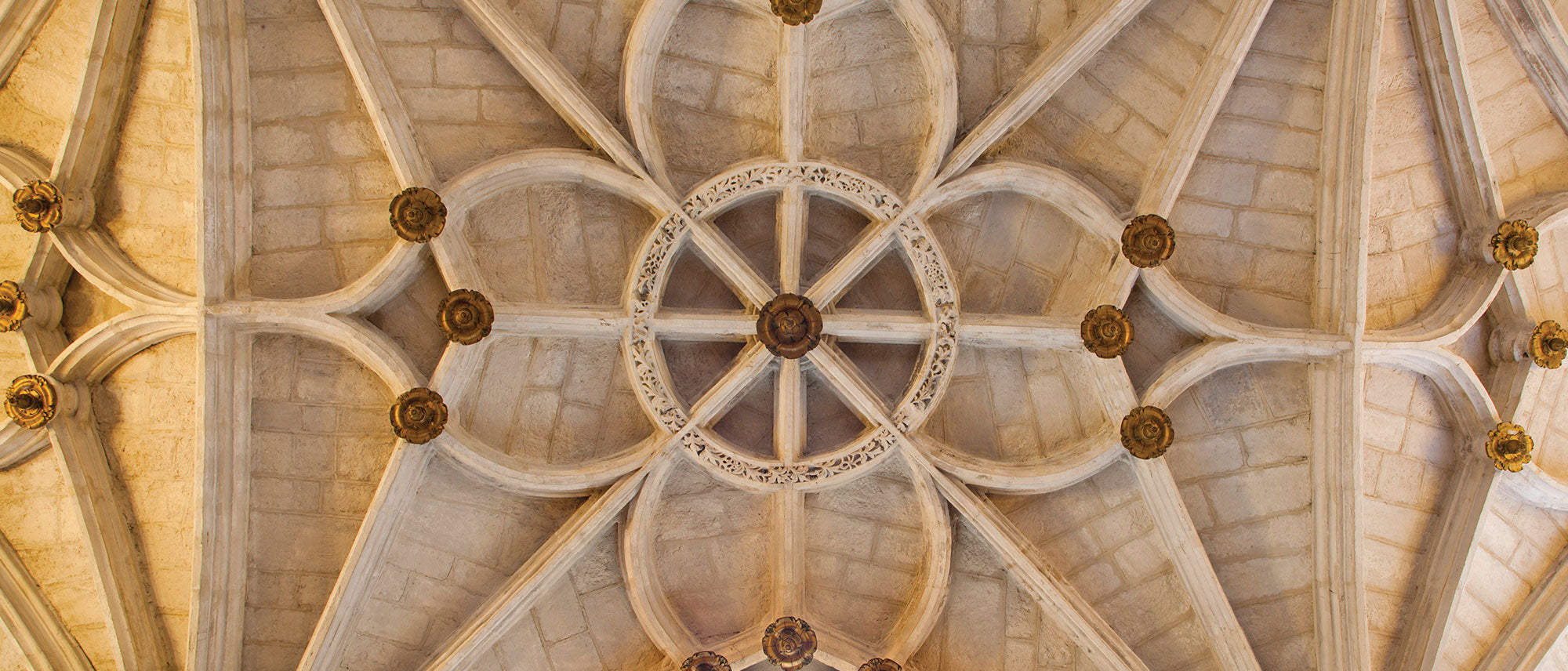 Toledo Collection - Brighton