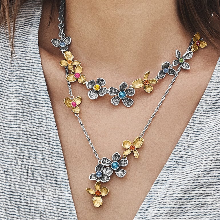 Brighton Collections