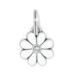 Daisy Charm - Brighton