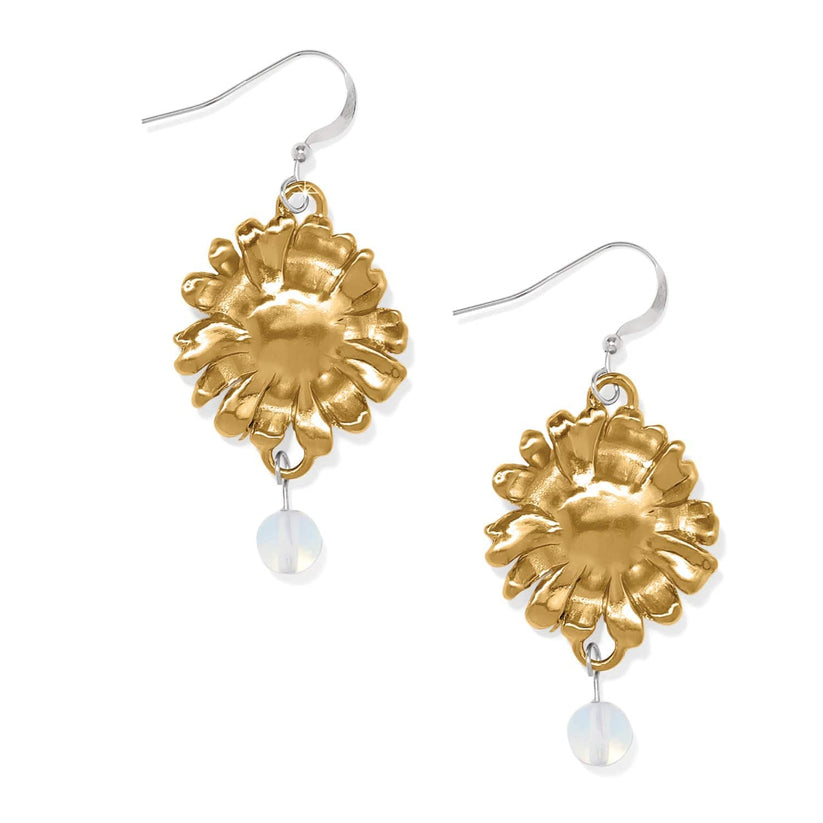 Daisy Dee Golden French Wire Earrings - Brighton