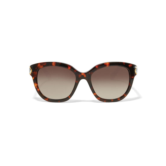 Intrigue Amber Tortoise Sunglasses - Brighton