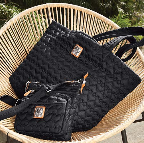 Brighton Collections