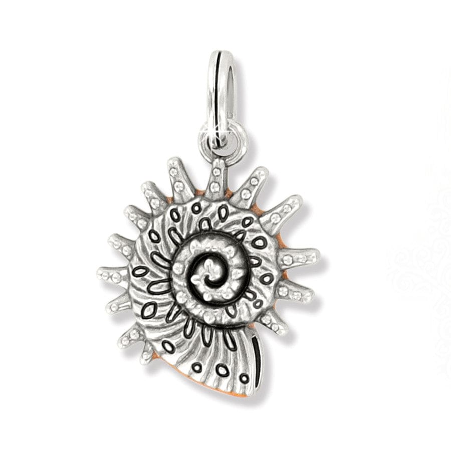 Sunburst Shell Charm - Brighton