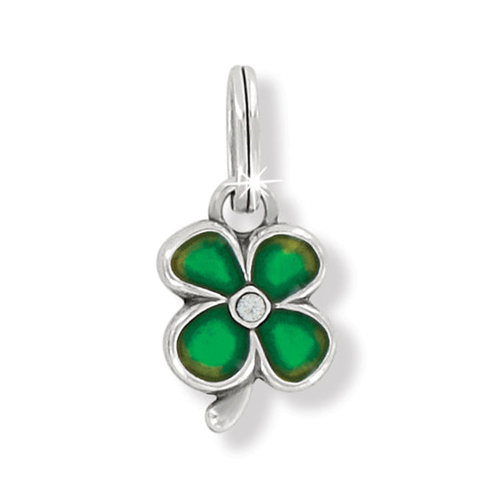 Clover Charm - Brighton