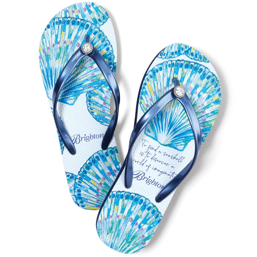 Flip Flop Designers - Brighton