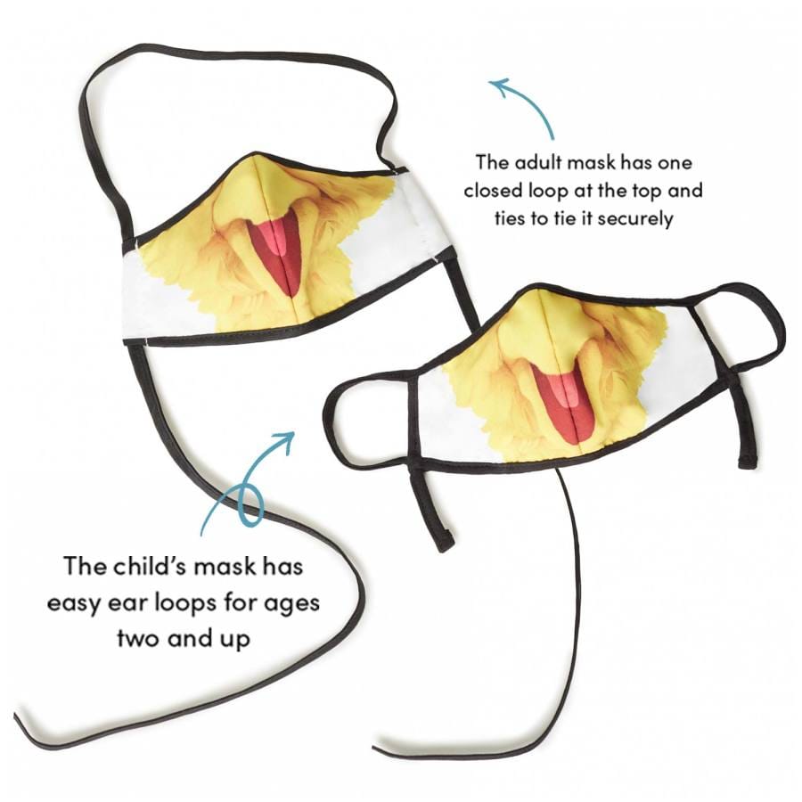 Sesame Street Big Bird Adult/Child Face Mask (2 pack) - Brighton